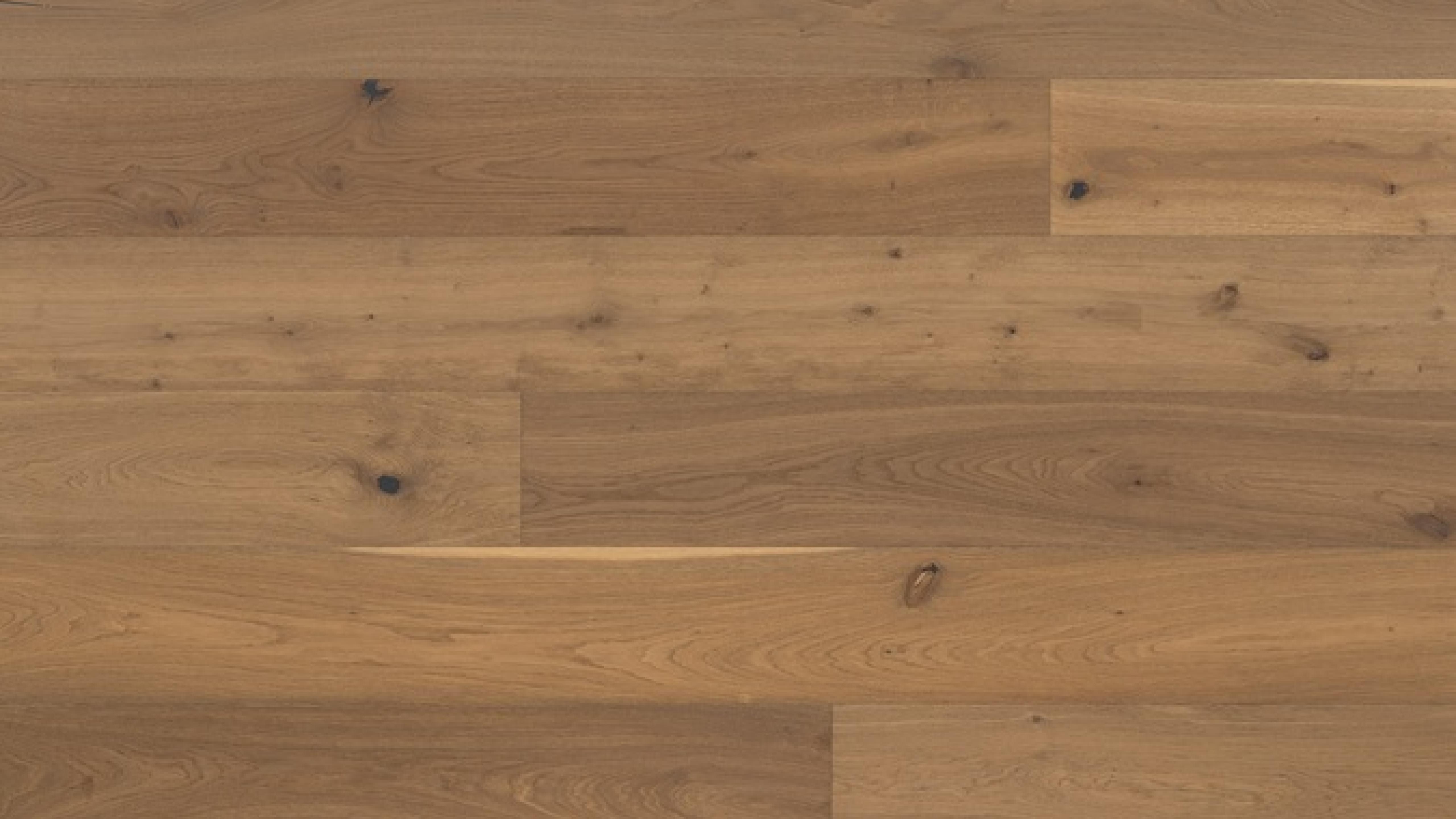 Brushed Oak Golden Harbor | Kentwood Flooring